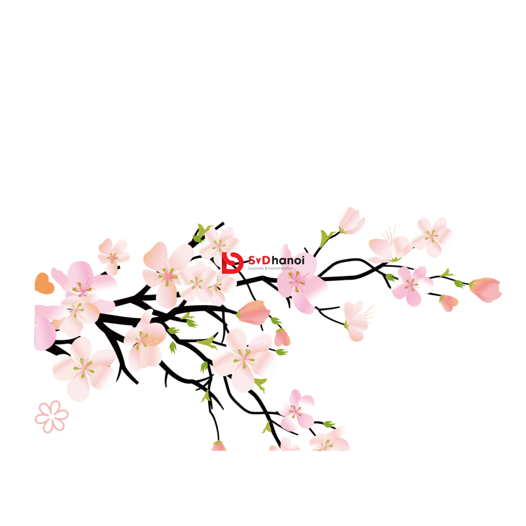 Link tải 100+ ảnh Hoa đào vector, PSD, PNG mới nhất miễn phí